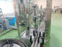 China One Nozzle Cosmetic Filling Machine Facial Cleanser Lotion Ointment Automatic Capping Line for sale