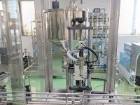 China Cosmetic Filling Machine Shampoo Liquid Detergent Bottle Filler for sale