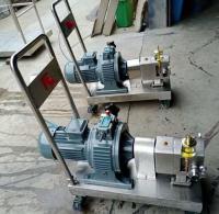 China electric motor For Cosmetic Industry/304 stainless steel/High Torque Gear Motor for sale