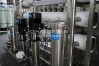 China 96% Desalination RO Water Treatment Equipment For Beverage Food Company Special for Cosmetics for sale