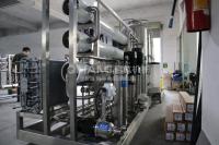 China Automatic Control Ro Industrial Water Treatment EDI for Cosmetics for sale