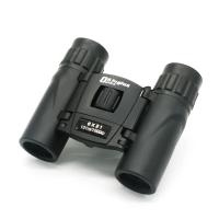 China Fully Multi Coated Folding 393ft 8x21mm Roof Prism Binoculars for sale