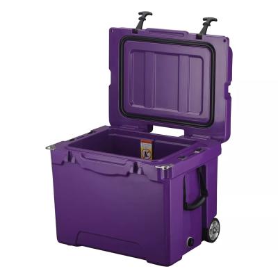 China Cold Chain Rotomoulded Products Cooler Box Set For Fish Vaccine for sale