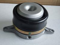 China S4971-03340 S50C0-E0020 S50C0-E0061 Shock absorber airbag FOR HINO 700 for sale