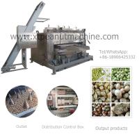 China 304 Stainless Steel Coated Peanut Roaster Machine/Swing Roaster/Flat & Rotary Roaster for sale