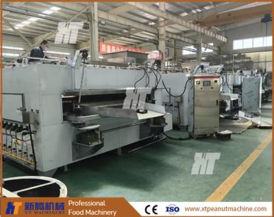 China Almonds Commercial Nut Roaster Bean Electric Nut Roaster Automatic Swing Roaster Iso for sale