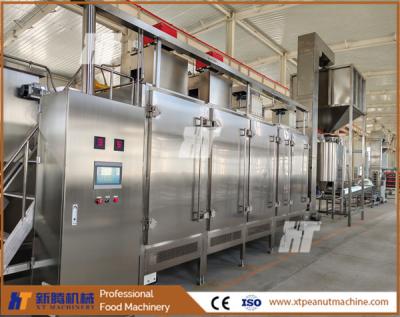 China Advanced Temperature Control Peanut Roasting blanching Line for sale