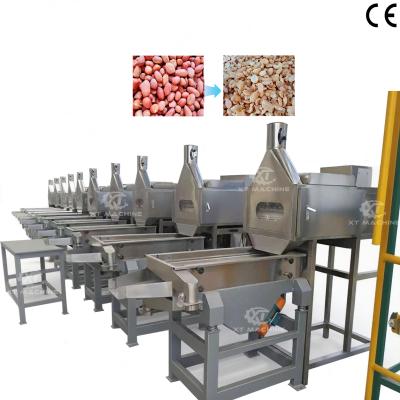 China Stainless Steel PLC Control Split Peanut Blancher with 800-1000kg/h Capacity for Peanut Processing for sale