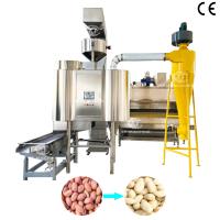 China Commercial Peanut Peeling & Nut Processing Equipment with 500-2000 kg/h for Nut Processing Plants for sale