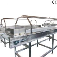 China Food Grade SUS304 Auto Conveyor Belt with 1 Year Warranty and CE ISO Certification for Peanut Processing for sale