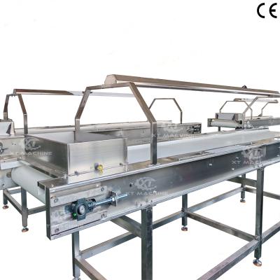 China Food Grade SUS304 Auto Conveyor Belt with 1 Year Warranty and CE ISO Certification for Peanut Processing for sale