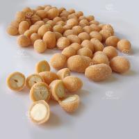 China SUS304 Automatic feeding powder for making fish skin coated peanut/crispy coated peanut for sale