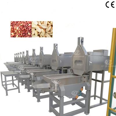 China Factory Direct Sales Fully Automatic Peanut Slitting and Blanching Machine Air Peeling Machine for sale