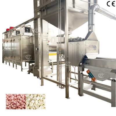 China High Blanching Rate SS304 Split Peanut Roasting and Blanching Production Line With CE Certification for sale