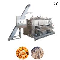 China Industrial Swing Roaster Rotary Roaster for Coated Peanuts with 50kg/h Capacity and 150-220°C Working Temperature Energy Saving Design for sale