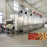 China Máquina de Tostado Continuo de Cacahuete y Almendras con Temperatura Regulable para Plantas Procesadoras de Frutos Secos for sale