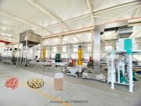 China High Efficiency Peanut Blanching Line with 90% Blanching Ratio 95-97% Peeling Rate and 85-90% Whole Kernel Rate for sale