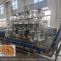 China Fully Automatic Large Capacity Japanese Peanut Beans Coating Machine Snack Food Coating Machine for Nuts Processing for sale
