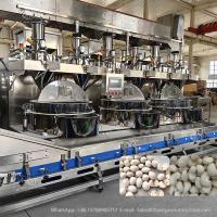 China High Efficiency Automatic Coated Peanut Making Machine Cashew Nuts Coating Machine with SUS304 Stainless Steel for sale