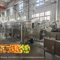 China Commercial Coated Peanut Frying Production Line Frying Processing Machine with Stainless Steel 304 for sale