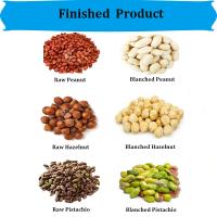 China PLC Controlled Air Peanut Blanching Machine Pistachio Hazelnut Peeling Machine with 1000-1500kg/h Capacity for sale
