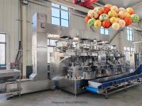 China 300-400kg/h PLC Controlled  automatic powder coating machine for making crunchy wasabi coated peanuts for sale