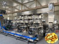 China High Output Automatic Peanut Coating Machine for multi-flavored peanuts-salty/seaweed flavor/crispy for sale