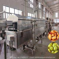 China Stainless Steel 304 Industrial Automatic Continuous Frying Machine with Oil-Water Separation for Nut Processing for sale