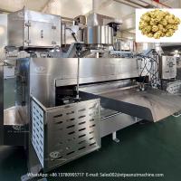 China 304 Stainless Steel Coated Nuts Swing Roaster with 50-100kg/h Capacity Flat Oven for Industrial Nut Processing for sale