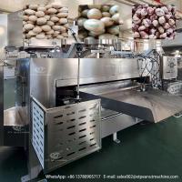 China SUS304 Coated Nuts Swing Roaster with PLC Control Japanese Bean Peanut Roaster for 100kg/h Nuts Flat Oven for sale