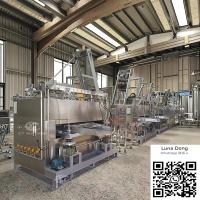 China SUS304 Coated Nuts Swing Roaster with PLC Control Japanese Bean Peanut Roaster for 100kg/h Nuts Flat Oven for sale