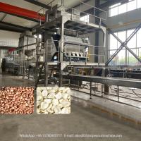 China 1000kg/h Capacity Peanut Butter Production Line Nut Butter Processing Equipment with Fully Enclosed Sterile Production for sale