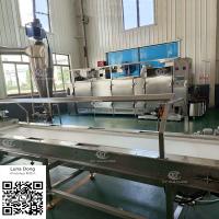 China Food Grade Adjustable Speed SUS304 Automatic Conveyor Belt Picking Belt for Food Processing for sale