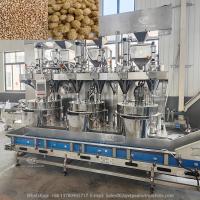 China 1000-2000kg/h Fully Automatic Nut Coating and Frying Equipment Fried Flour-coated Peanut Making Machine for Food Processing Plants for sale