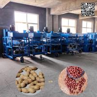 China Customizable High-Yield Máquina descascaradora de maní with 380V 50Hz 3 Phases for Industrial Use for sale