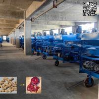 China Customizable High-Yield Máquina descascaradora de maní with 380V 50Hz 3 Phases for Industrial Use for sale