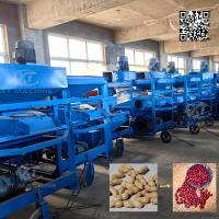 China Customizable High-Yield Máquina descascaradora de maní with 380V 50Hz 3 Phases for Industrial Use for sale