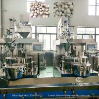 China 500kg/h-600kg/h Automatic Covered Peanut Making Machine Stainless Steel Food Grade Nut Coating Equipment for sale