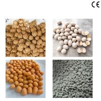 China 500kg/h-600kg/h Automatic Covered Peanut Making Machine Stainless Steel Food Grade Nut Coating Equipment for sale