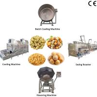 China Food Grade Nuts Coating Baking and Seasoning Production Line with 100-200kg/h Capacity for sale