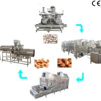 China Industrial Snacks Food Coated Frying Machine High-production Seasoned Nuts Coating and Frying Production Line for sale