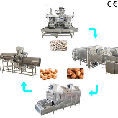 China Industrial Snacks Food Coated Frying Machine High-production Seasoned Nuts Coating and Frying Production Line for sale
