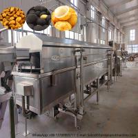 China Industrial Snacks Food Coated Frying Machine High-production Seasoned Nuts Coating and Frying Production Line for sale