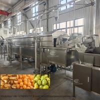 China Large Capacity High Efficiency Automatic Corn Flakes Nuts Continuous Frying Machine With CE Certification for sale
