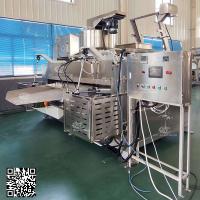 China 304 Stainless Steel Gas/Oil Fired Swing Roaster Machine with 100 kg/h Capacity for Coated Nuts/Peanut/Cashew/Almond/Hazelnut for sale