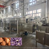 China Fully Automatic SUS304 Peanut Coating and Frying Production Line with 500-1000kg/h For Nut Processing Plants for sale