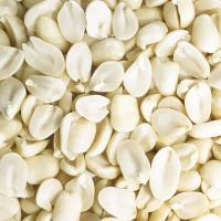 China SS304 Split Peanut Kernel Blanching Machine Air Peeler For Peanuts 1000kg/h for Food Processing Plant for sale