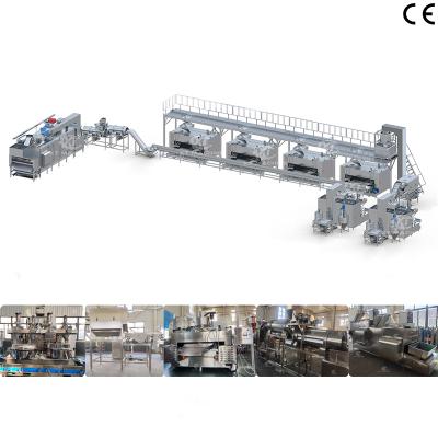 China 1000kg/h Food Grade Stainless Steel Nuts Coating And Baking Production Line for Food Processing Plants for sale
