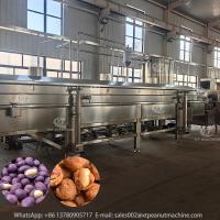 China Stainless Steel 304 Industrial Automatic Continuous Frying Machine with Oil-Water Separation for Nut Processing for sale