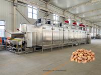 China Food Grade High Capacity Continuous Belt Roaster Machine for peanut/almond/cashew/seeds/hazelnut for sale